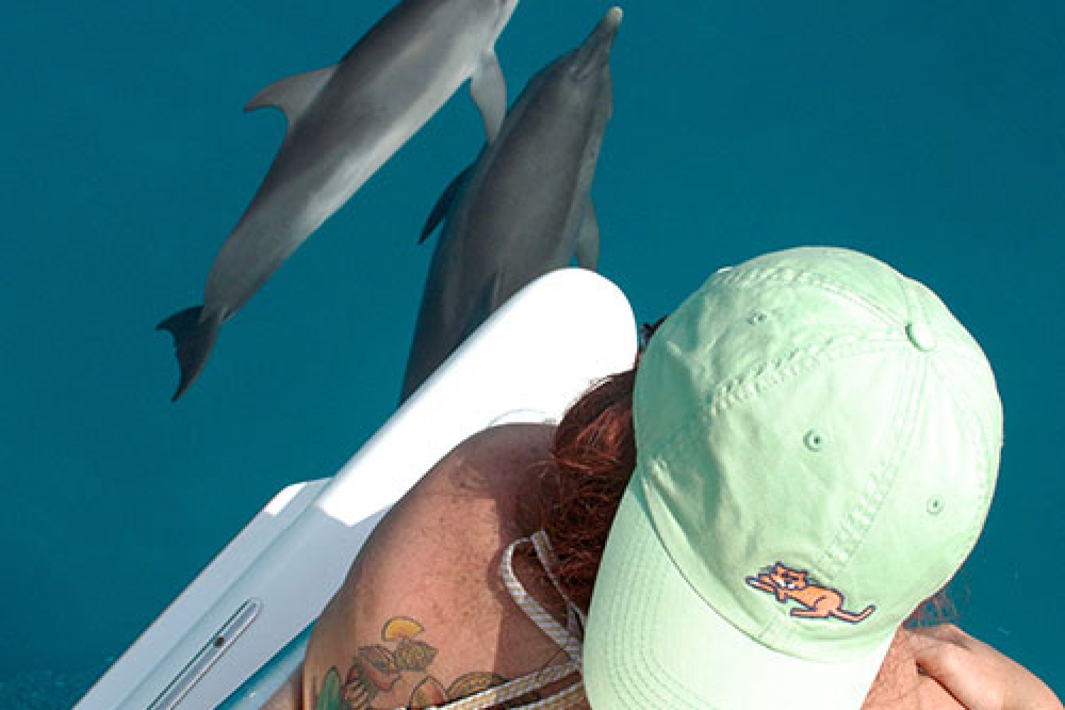 Schedule Dolphin Dates | WildQuest | Wild Dolphin Swims Bahamas