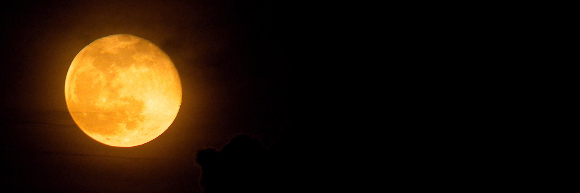 WildQuest Full Moon Sacred Journey - WildQuest | Wild Dolphin Swims Bahamas