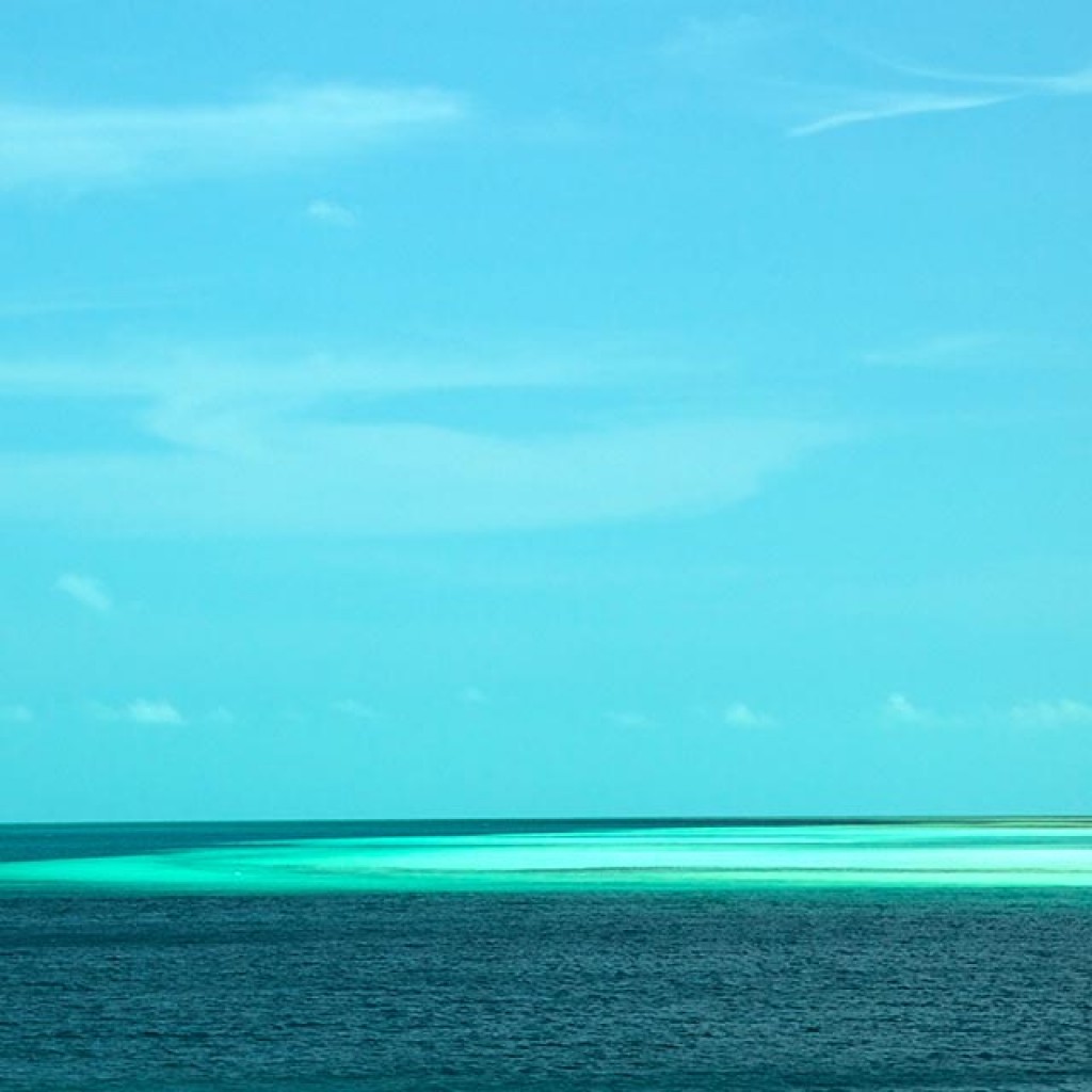 Bimin Island - WildQuest | Wild Dolphin Swims Bahamas