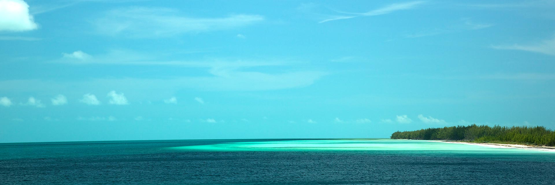 Bimin Island - WildQuest | Wild Dolphin Swims Bahamas